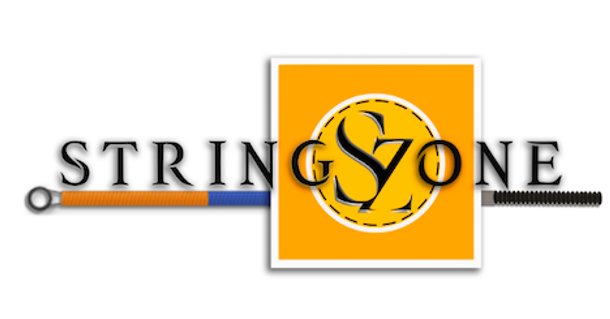 Strings Zone All in Strings for Violin, Viola, Cello and more